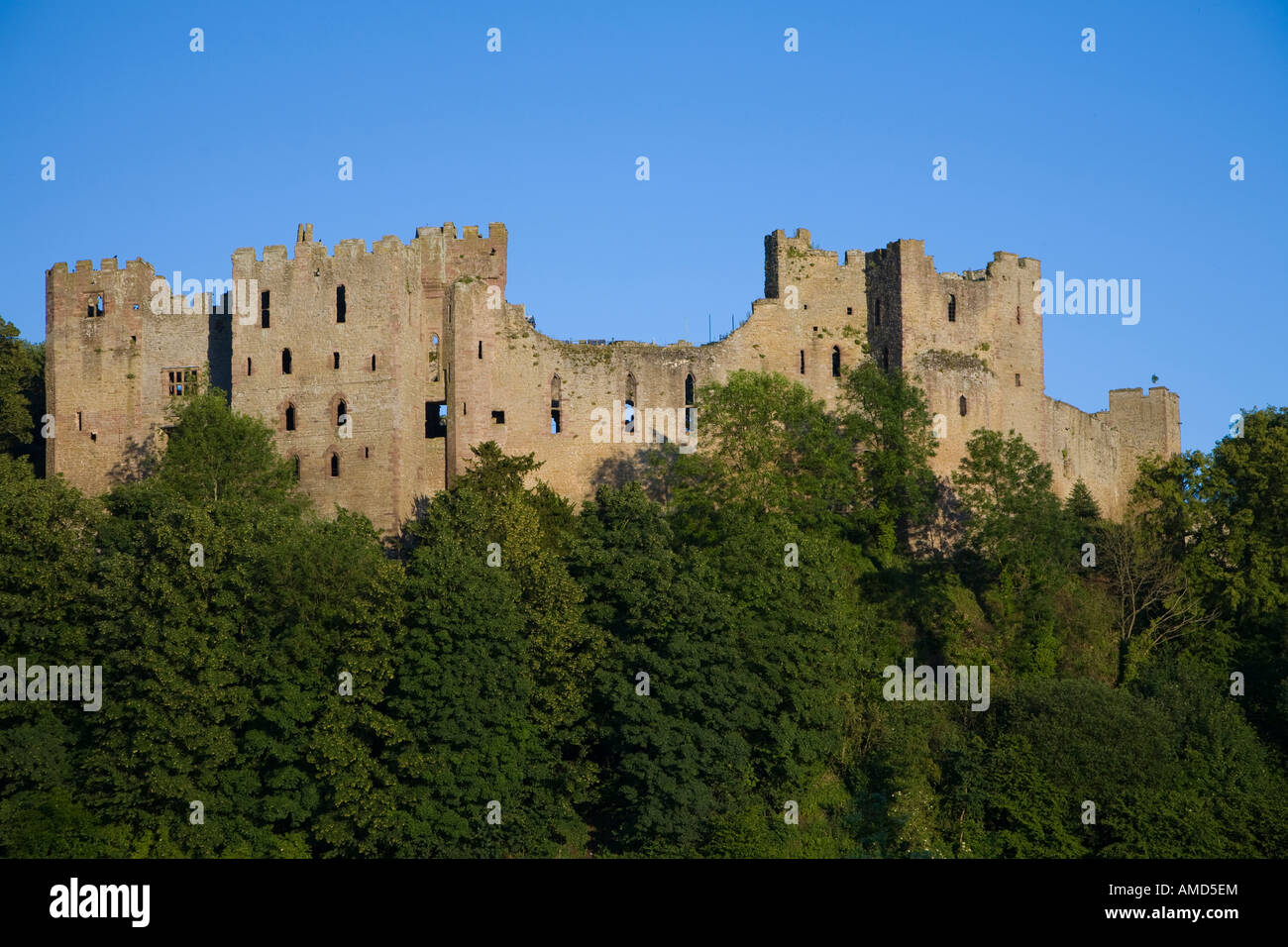 A view of Ludlow Castle, Shropshire Stock Photo - Alamy