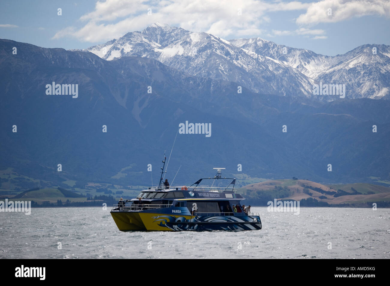 Whale Watch Vessel Kaikoura New Zealand Stock Photo - Alamy