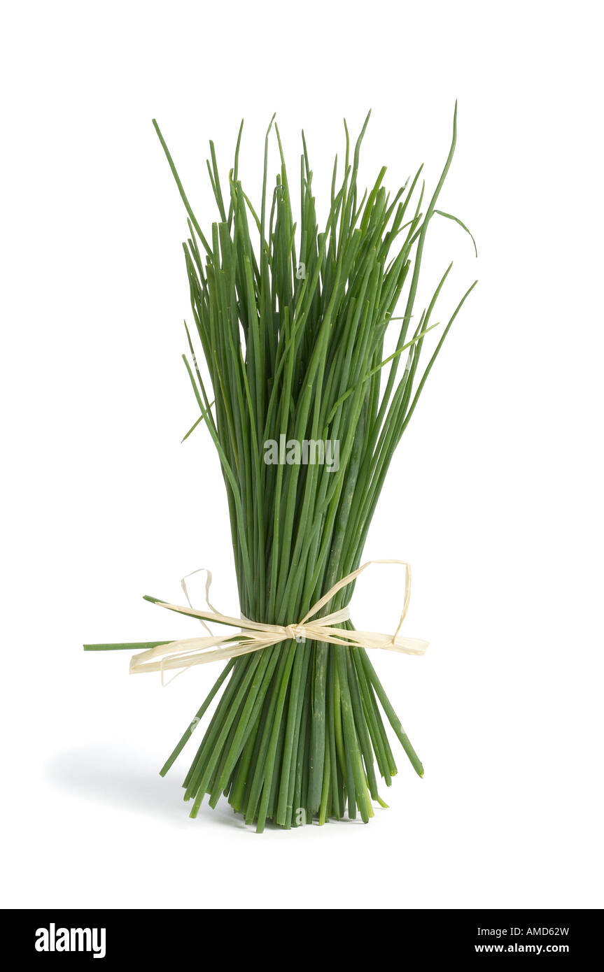 Cook with chives hi-res stock photography and images - Alamy