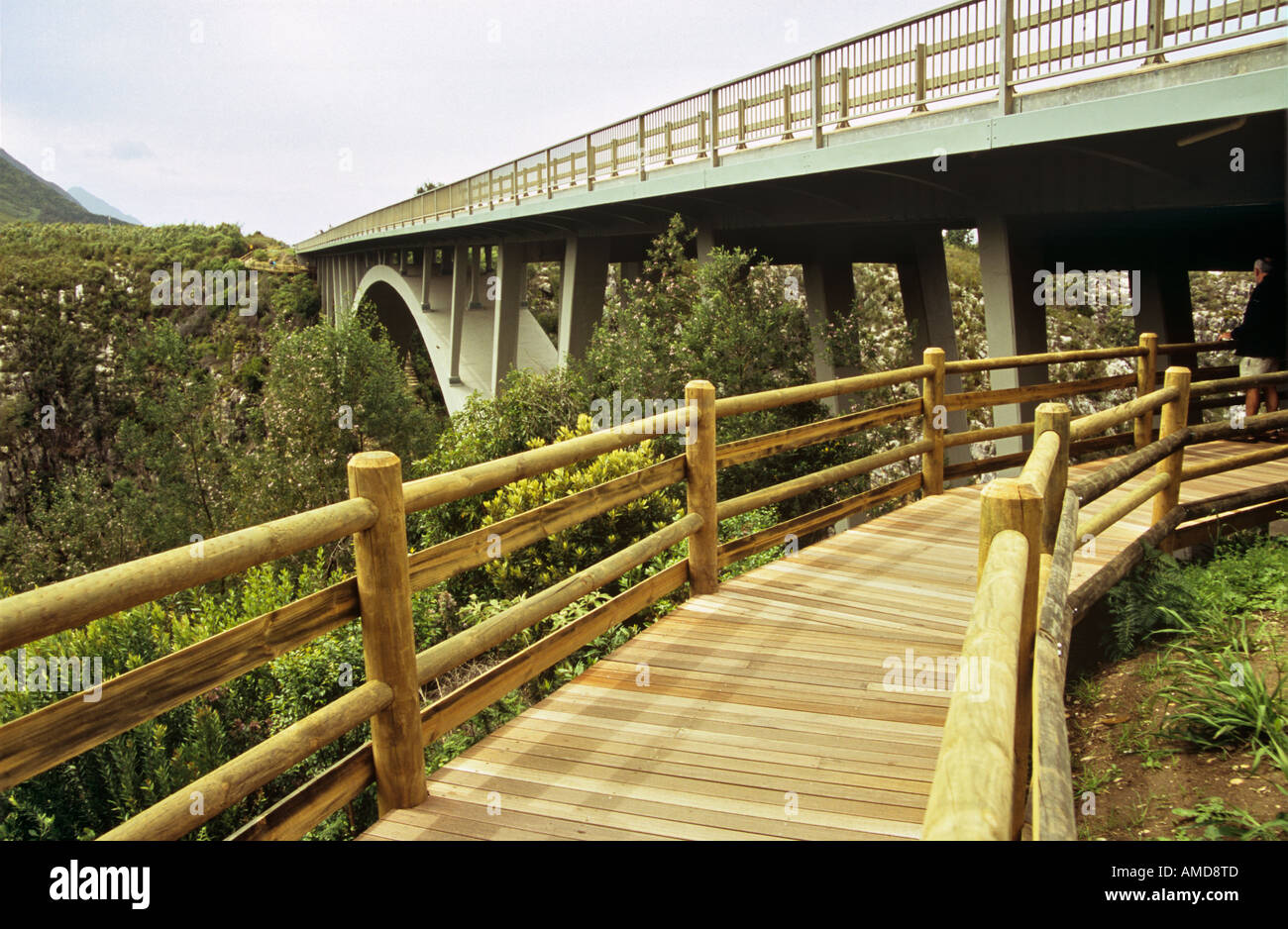 "PAUL SAUER" ROAD BRIDGE carrying the N2 "Garden Route" road over the ...