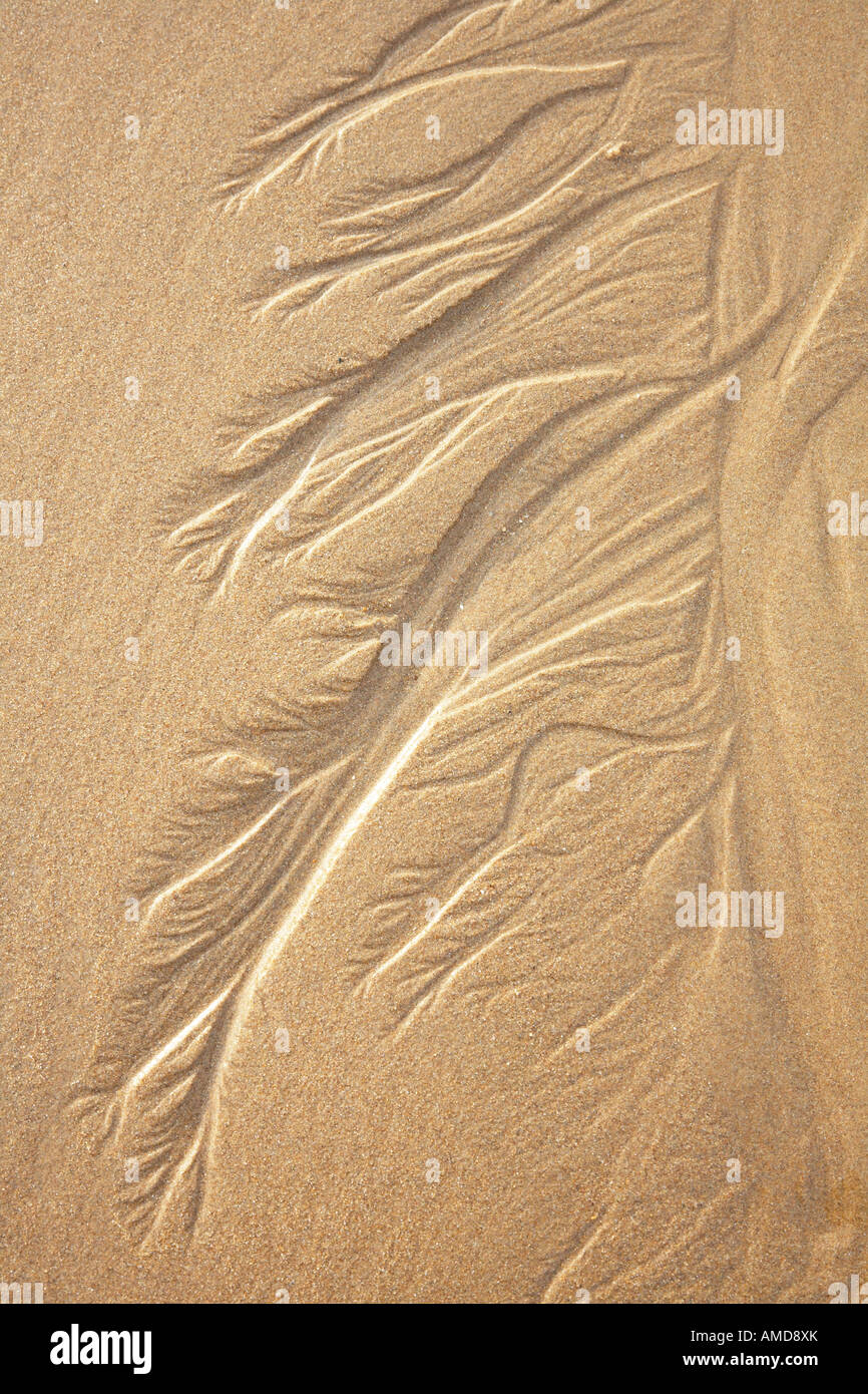 Water channel patterns in the sand at the beach Stock Photo - Alamy