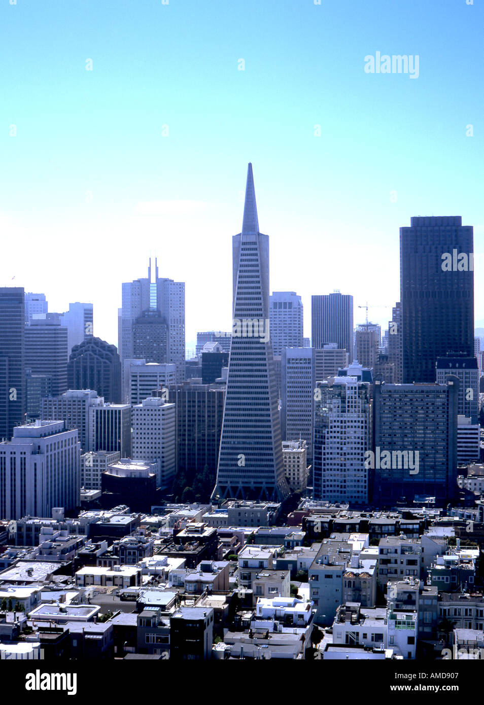 Financial District and Trans America Pyramid in San Francisco Stock ...