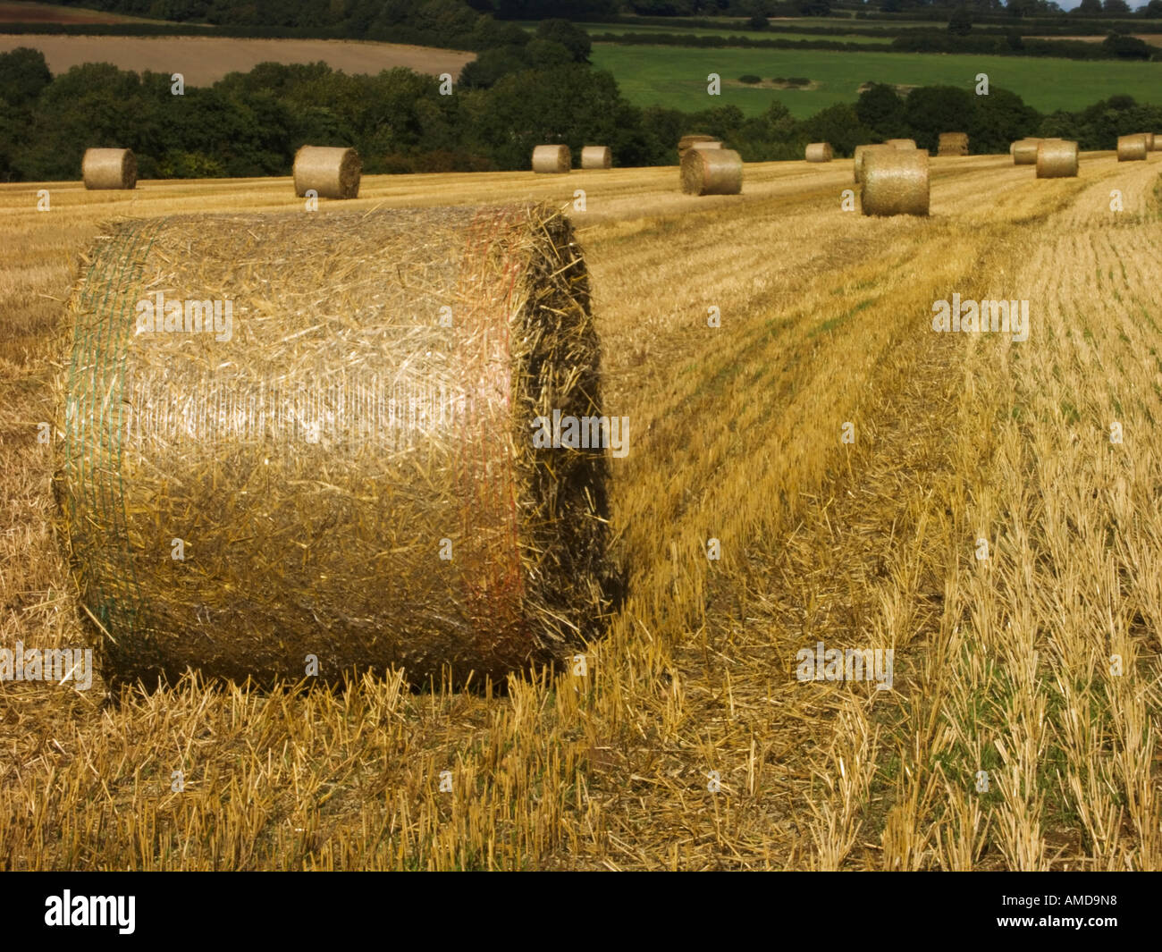 Round bails in a field hi-res stock photography and images - Alamy