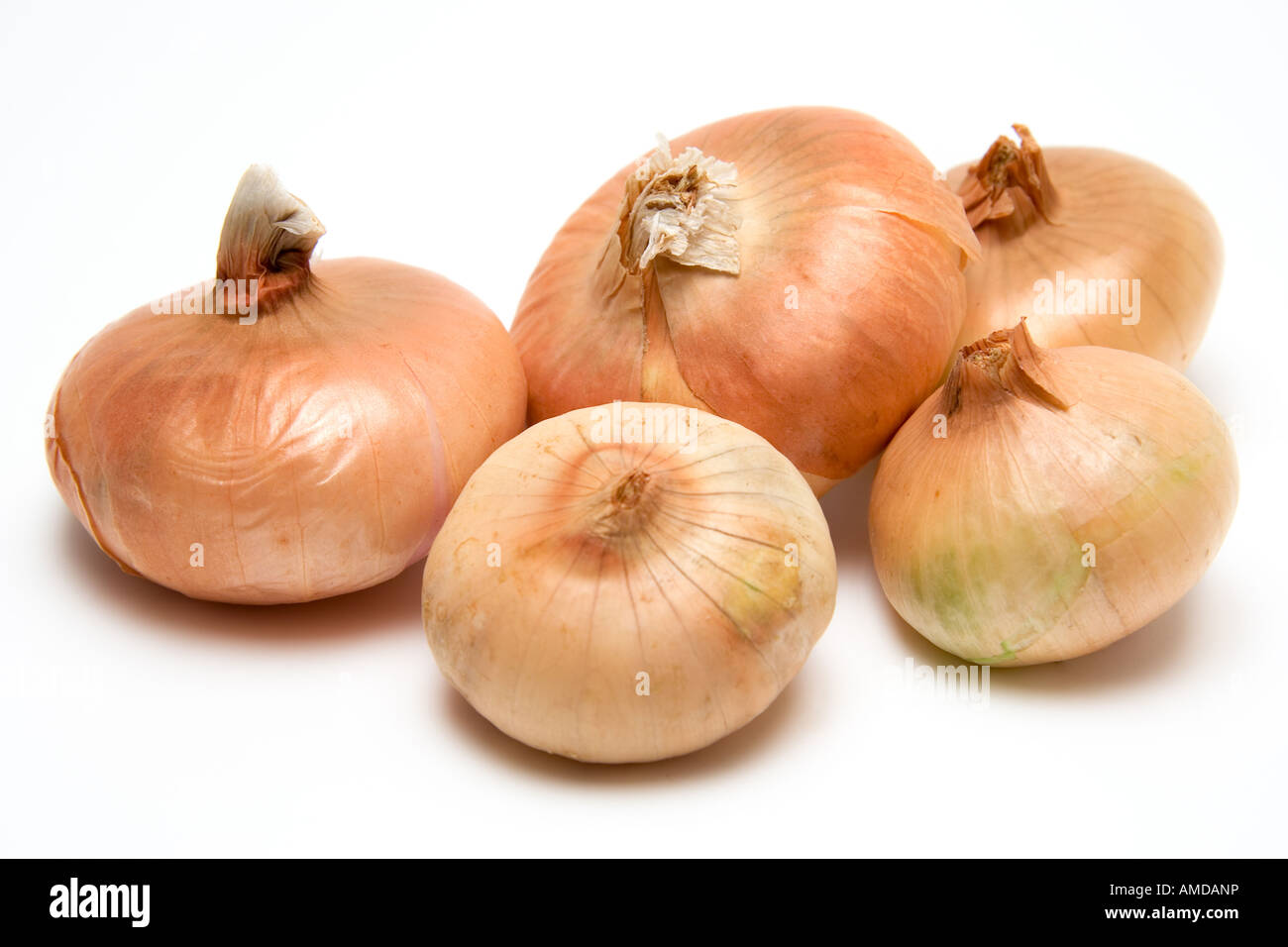 A bundle of onion Stock Photo - Alamy