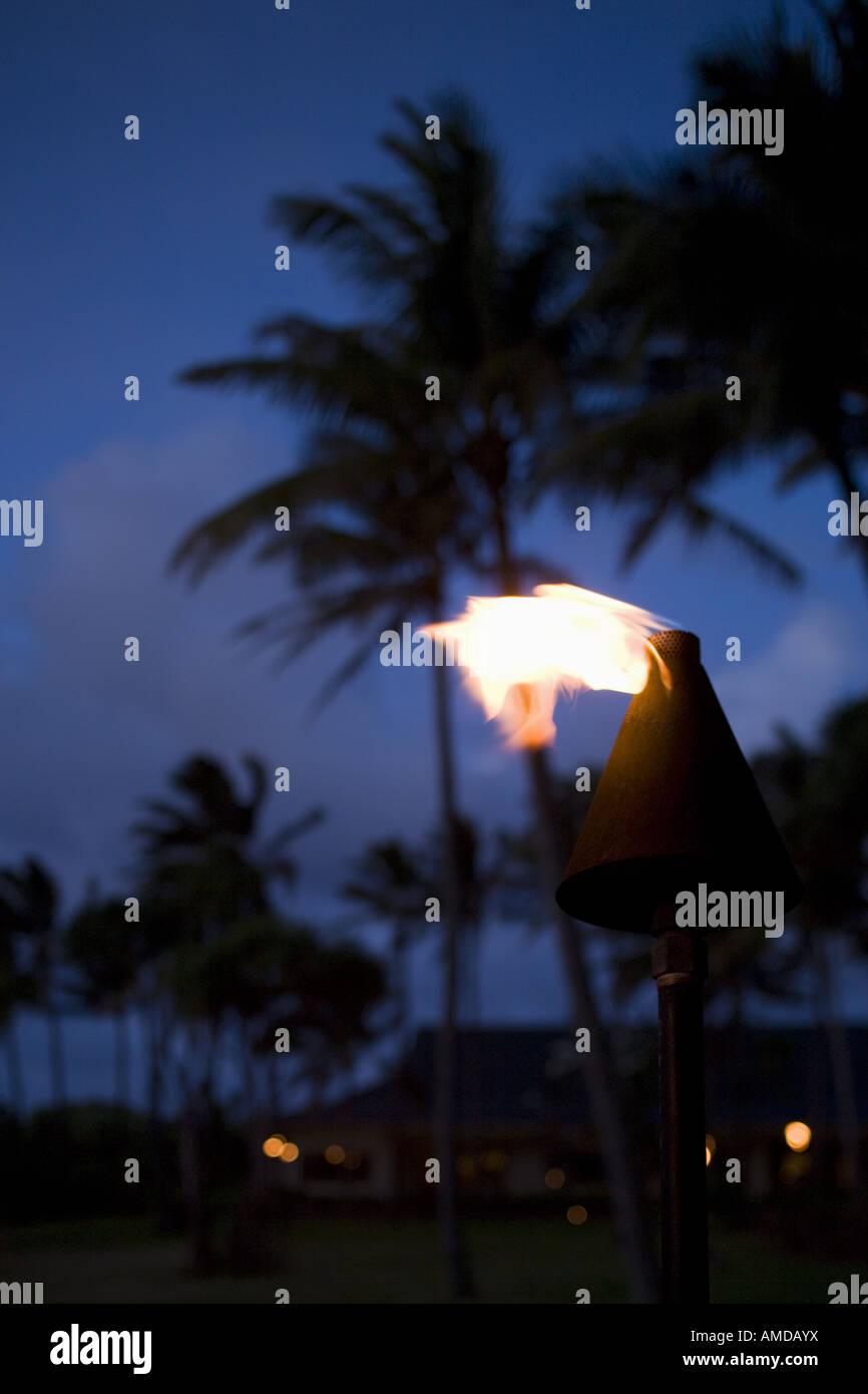 Torch at night with palm trees Stock Photo - Alamy