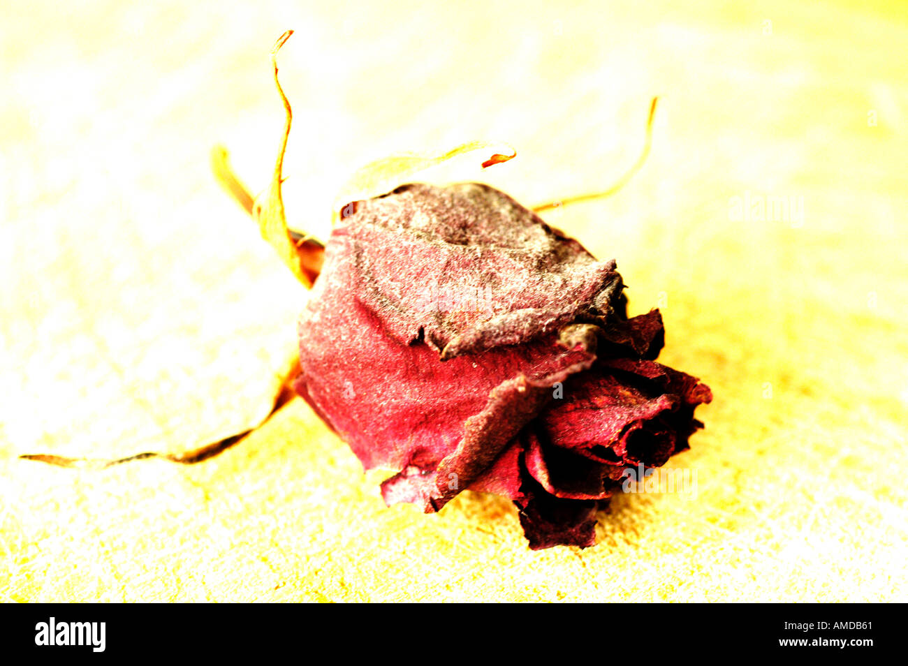 Symbol for lovesickness hi-res stock photography and images - Alamy