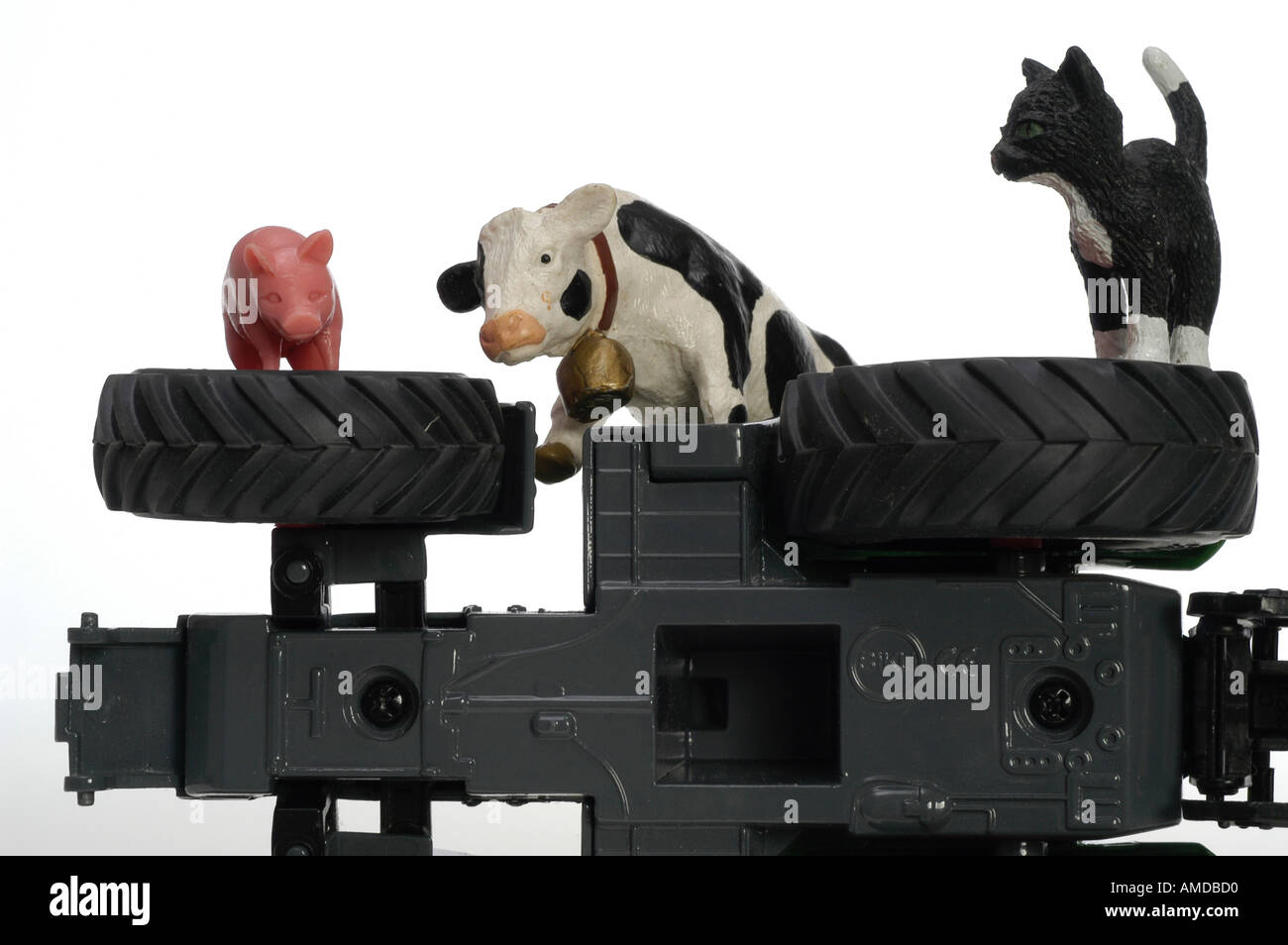 tractor and farm-animals, animal-farm Stock Photo - Alamy