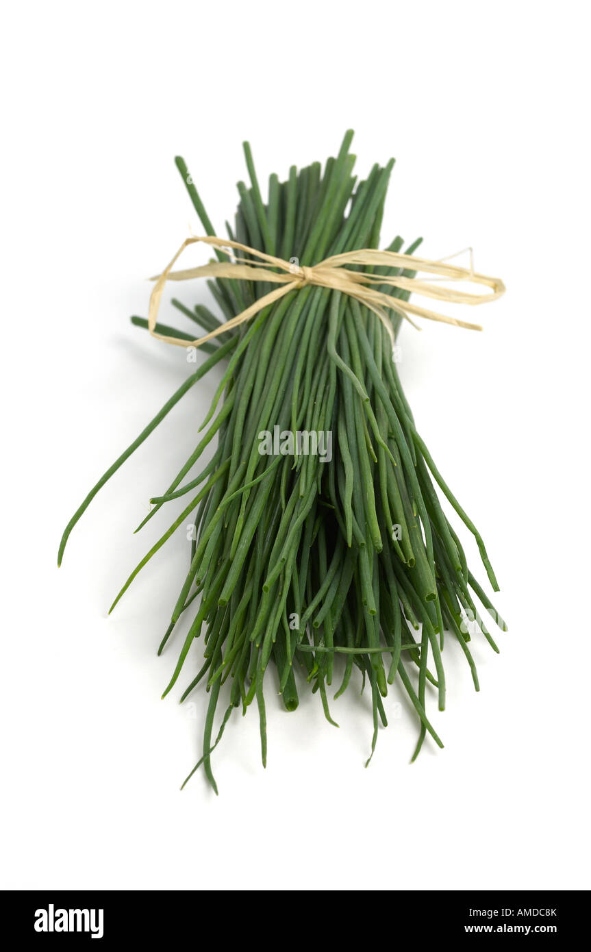 Bunch of fresh chives Stock Photo - Alamy