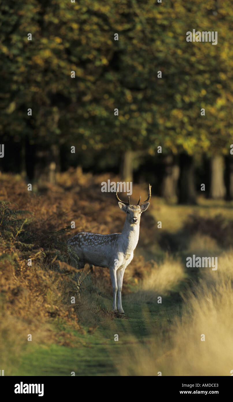 Being cautious hi-res stock photography and images - Alamy