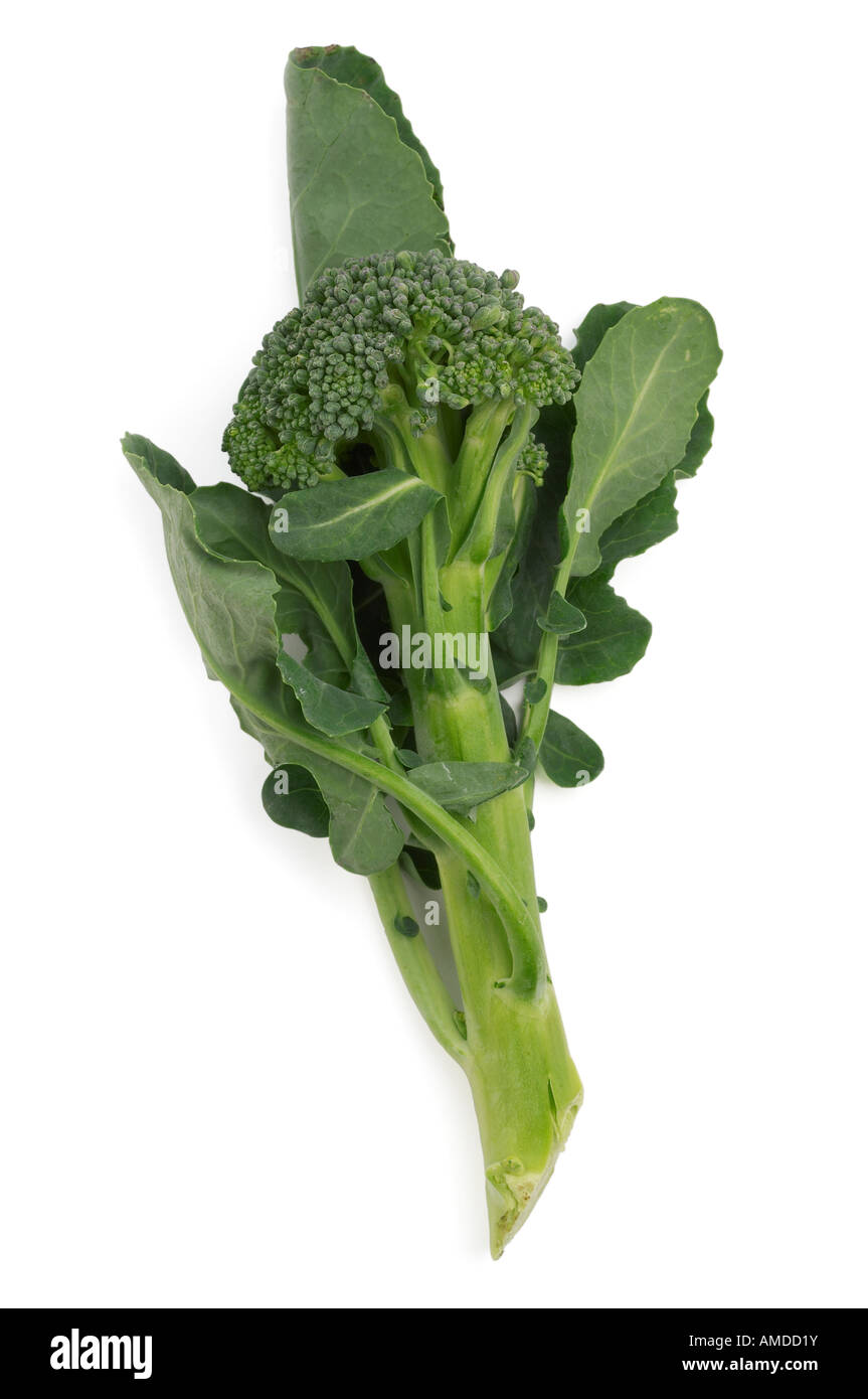 Sprouting broccoli hi-res stock photography and images - Alamy