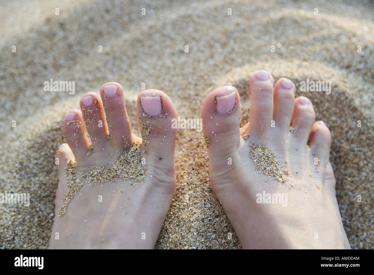 Close-up of toes in sand Stock Photo - Alamy