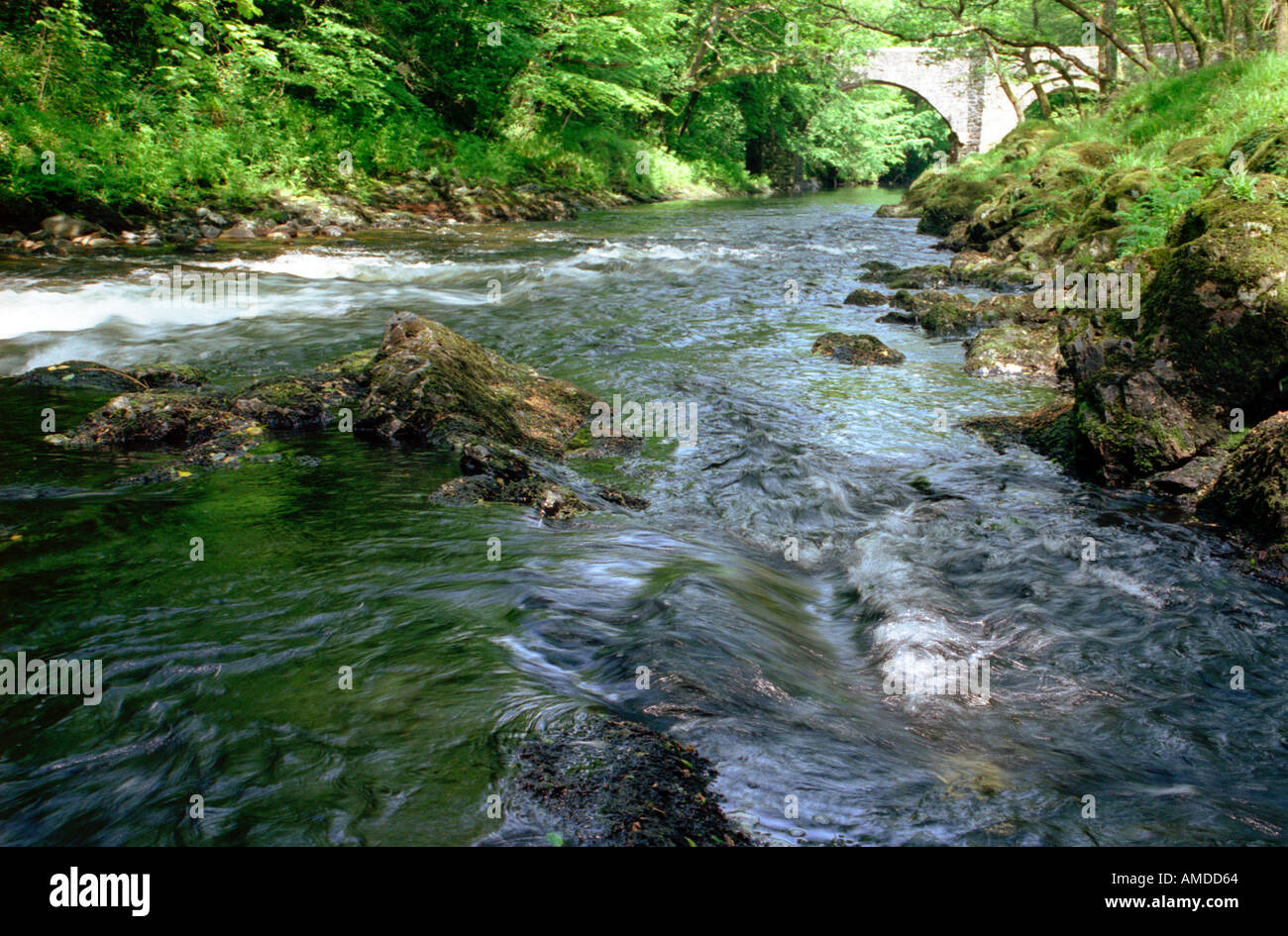 Stone bridge Devon England uk Stock Photo - Alamy