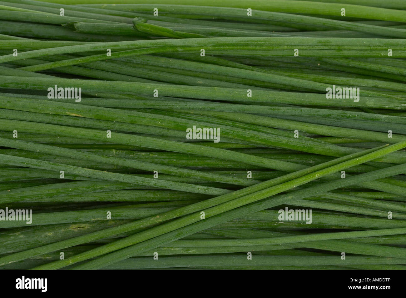 Chives herb hi-res stock photography and images - Alamy