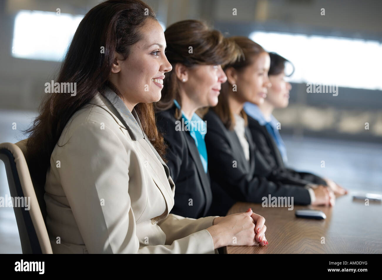 Professionalism of women in business hi-res stock photography and ...