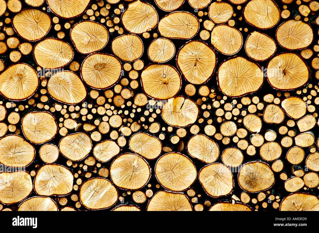 Woodpile wood structure hi-res stock photography and images - Alamy