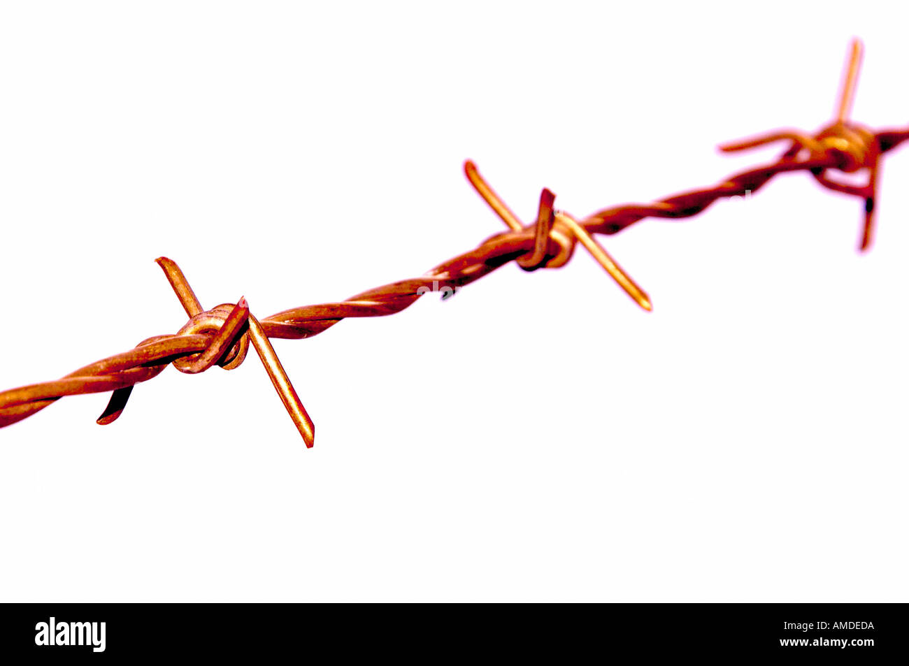 Barbed wire fence Stock Photo - Alamy