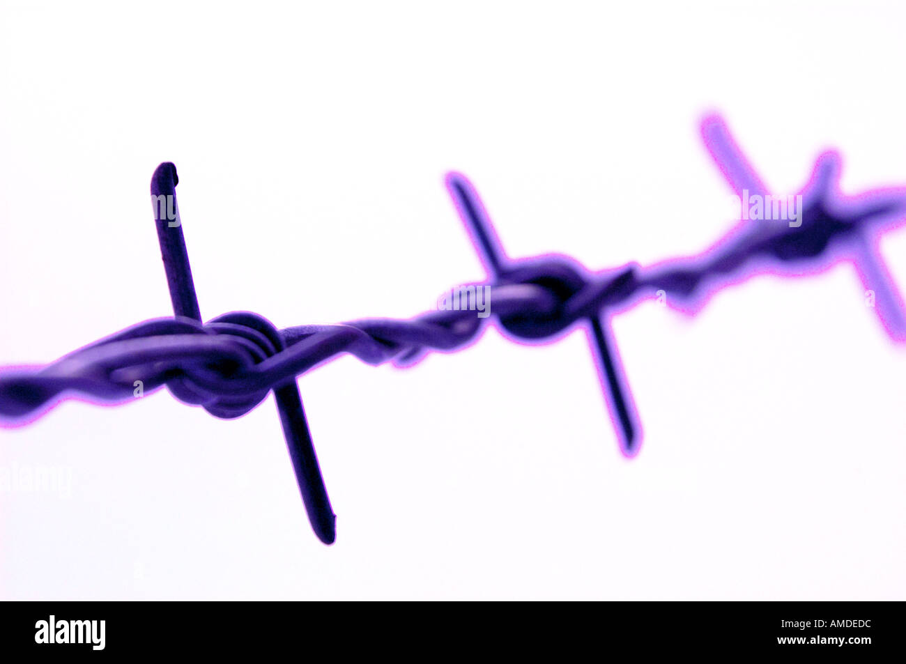 Barbed wire fence Stock Photo - Alamy