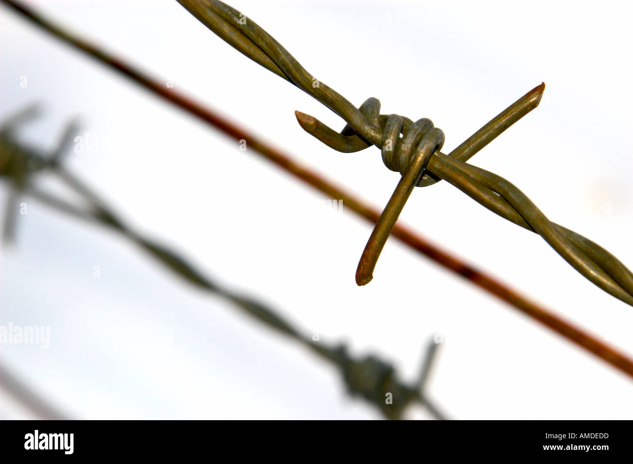 Barbed wire fence Stock Photo - Alamy