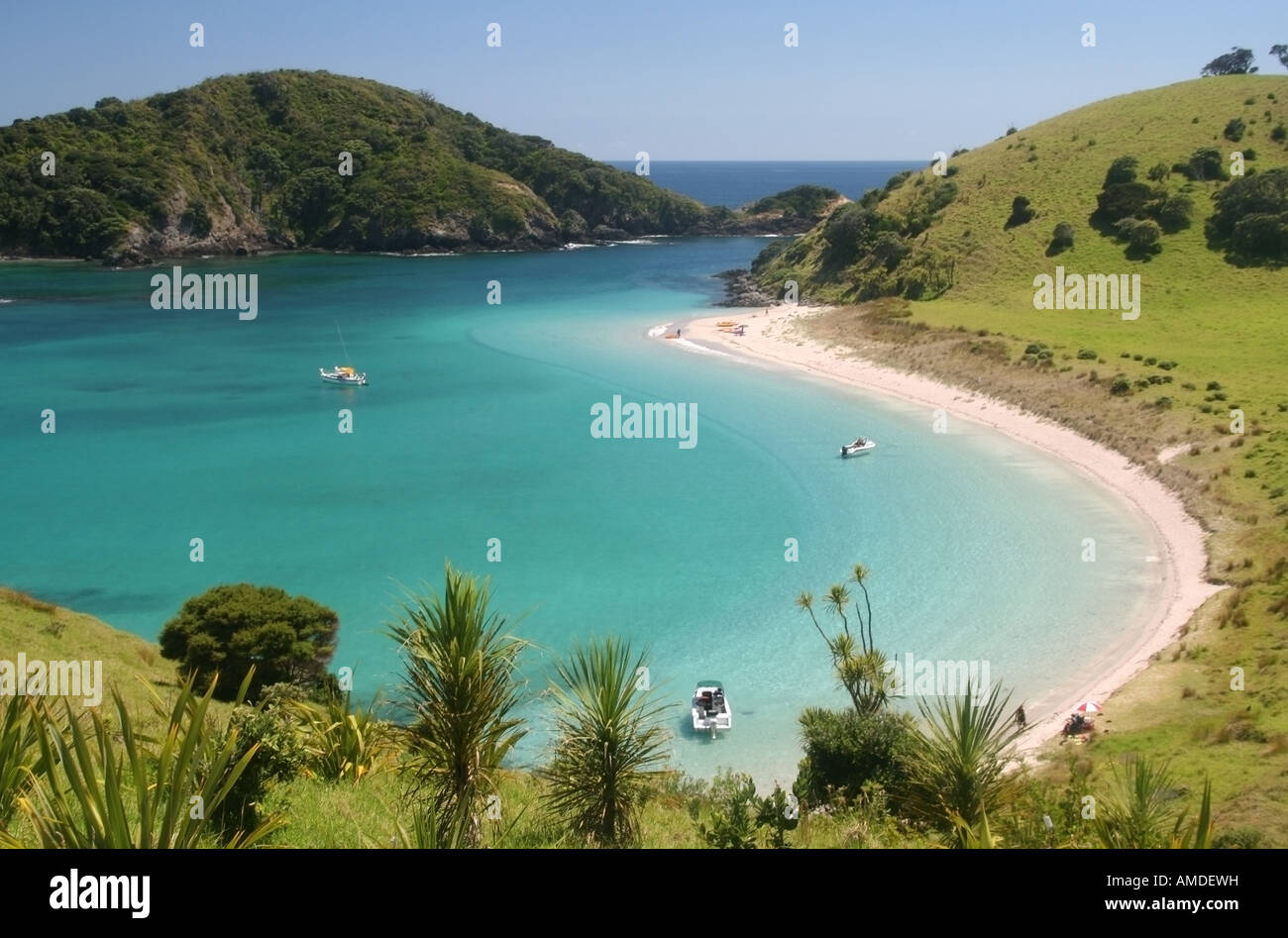 A white sandy beach on Urupukapuka Island, Bay of Island, New Zealand ...