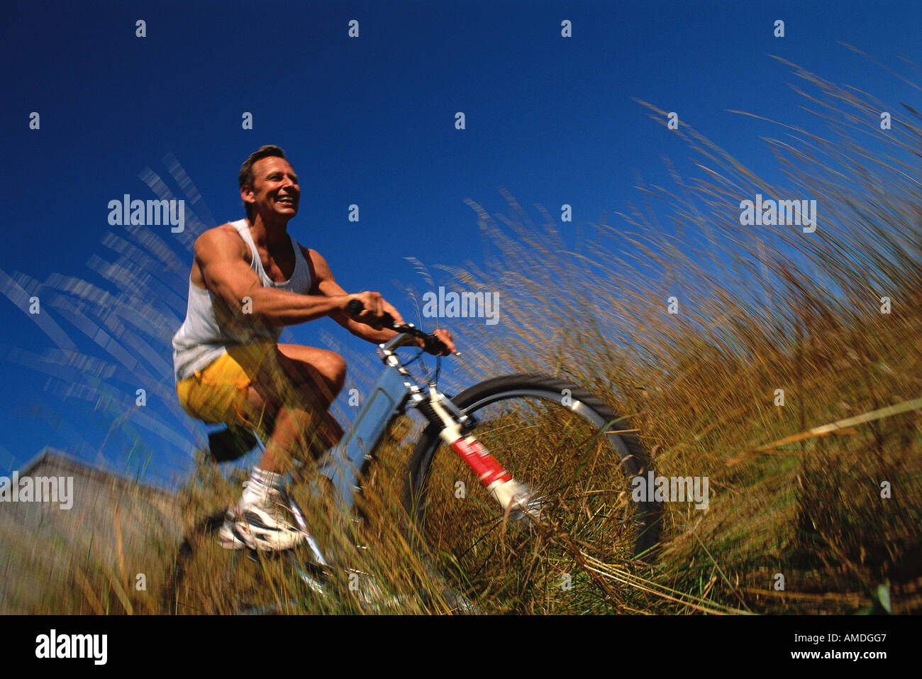 Man Biking through Field of Tall Grass, Maine, USA Stock Photo - Alamy