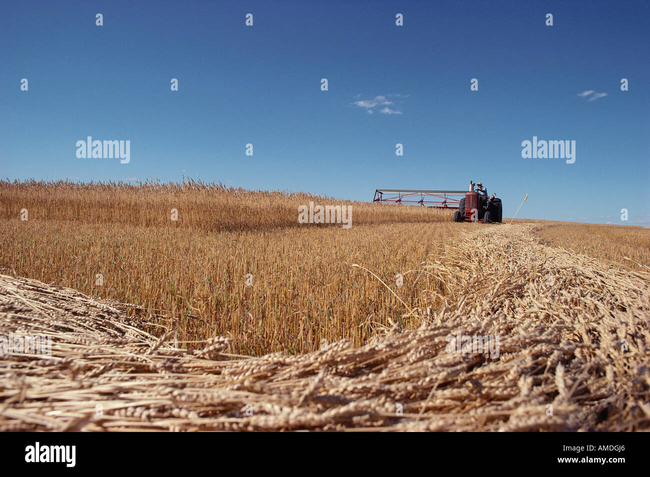 Grain swathing hi-res stock photography and images - Alamy