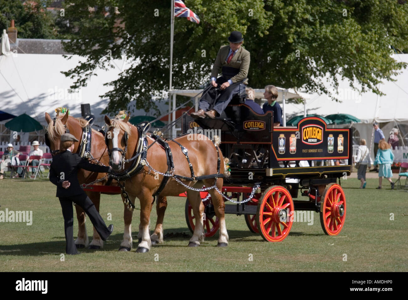 Brewery horse hi-res stock photography and images - Alamy