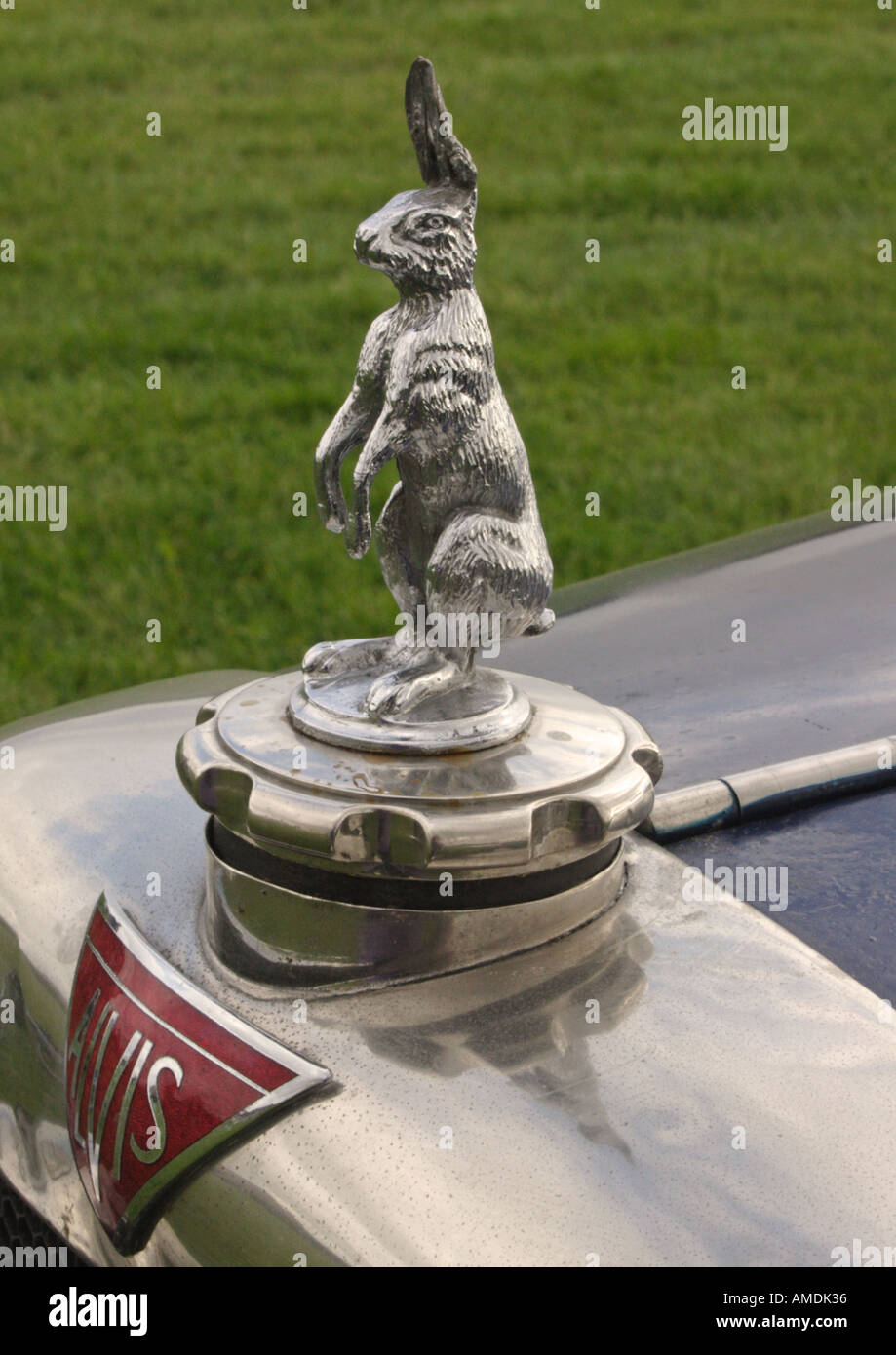 Rabbit mascot hi-res stock photography and images - Alamy