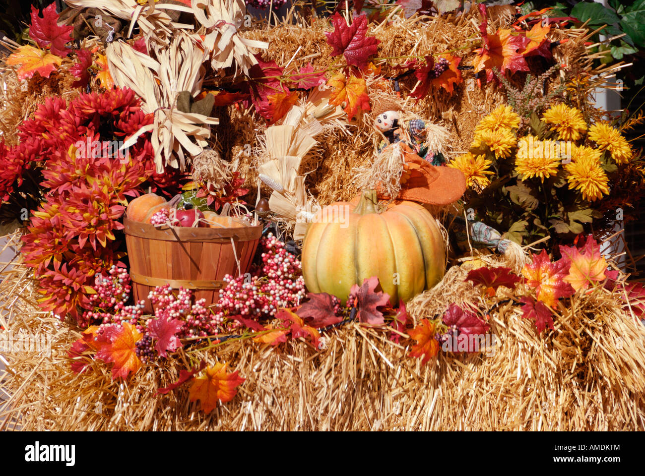 Harvest festival display hi-res stock photography and images - Alamy