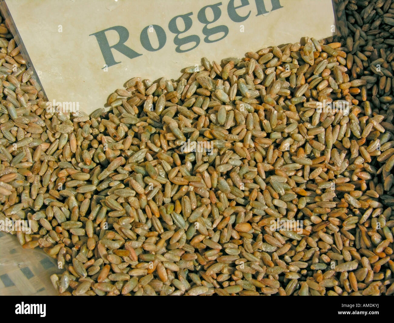 cereals with grains of rye in a basket corn with information about the ...