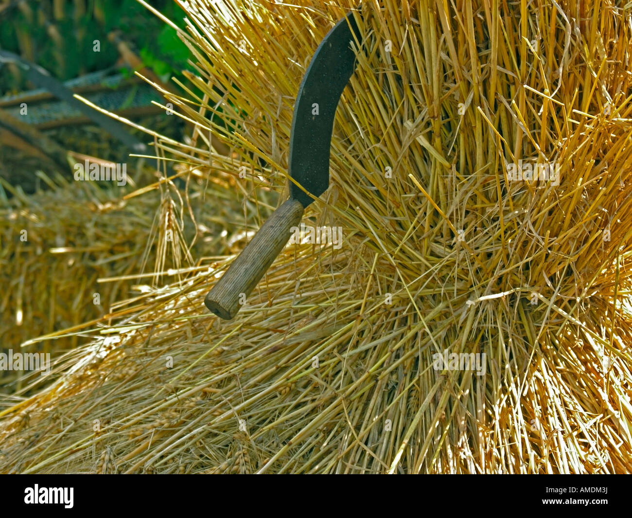 sickle hook in straw bounded in a bunch Stock Photo - Alamy