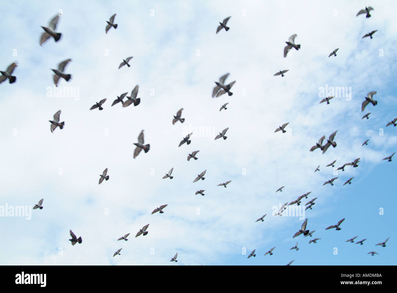 Flying across hi-res stock photography and images - Alamy