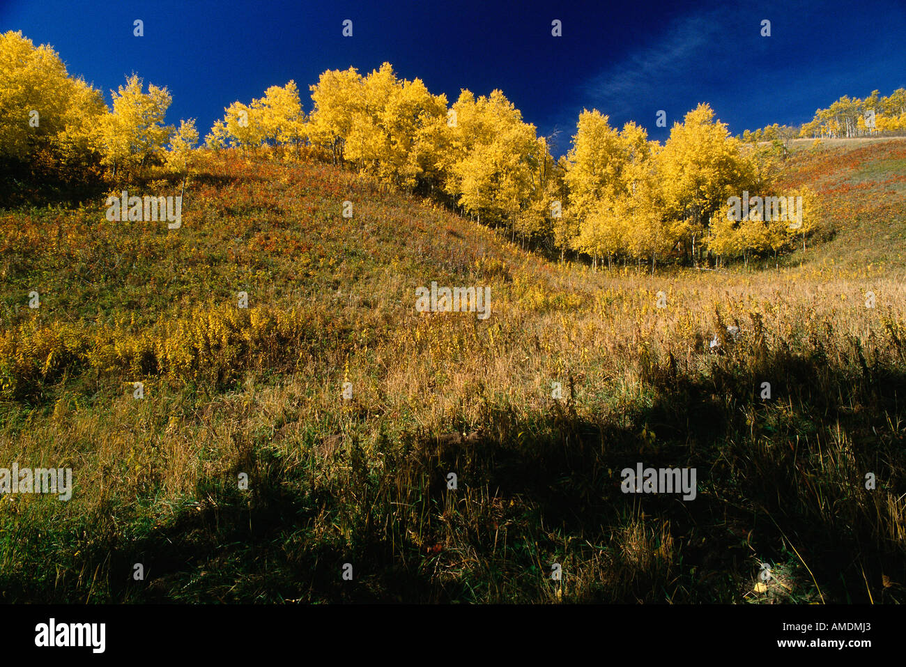 Turner valley hi-res stock photography and images - Alamy