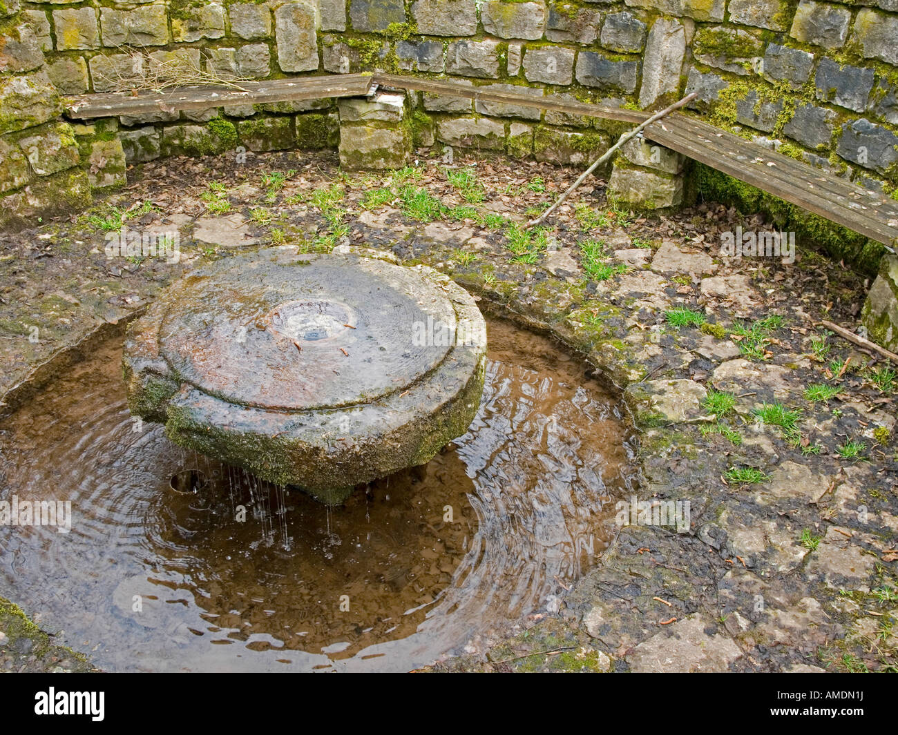 well spring wellspring with bassin and cascade rounded with moss ...