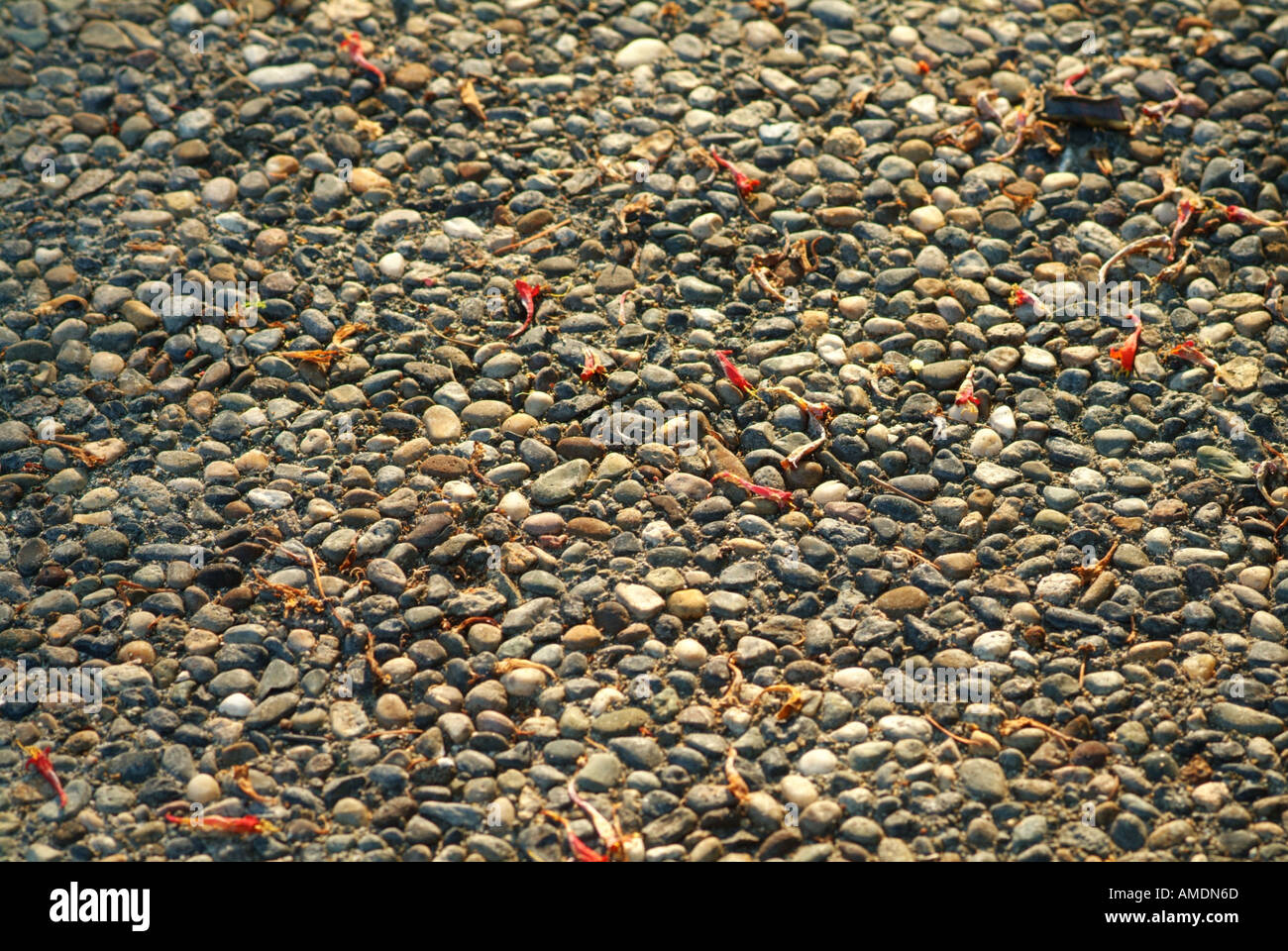 Pebble stone path walkway hi-res stock photography and images - Alamy