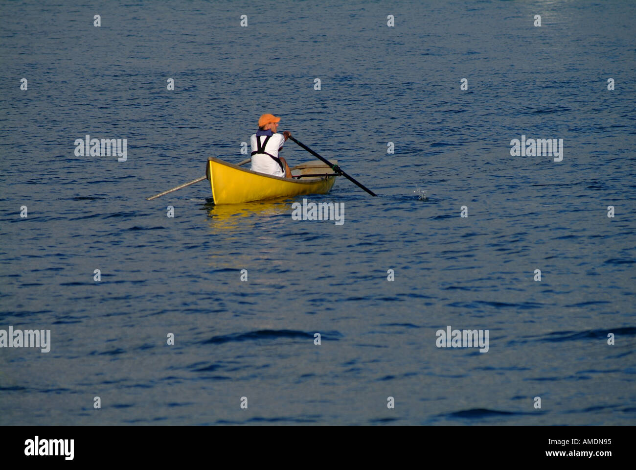 Man in rowboat hi-res stock photography and images - Alamy