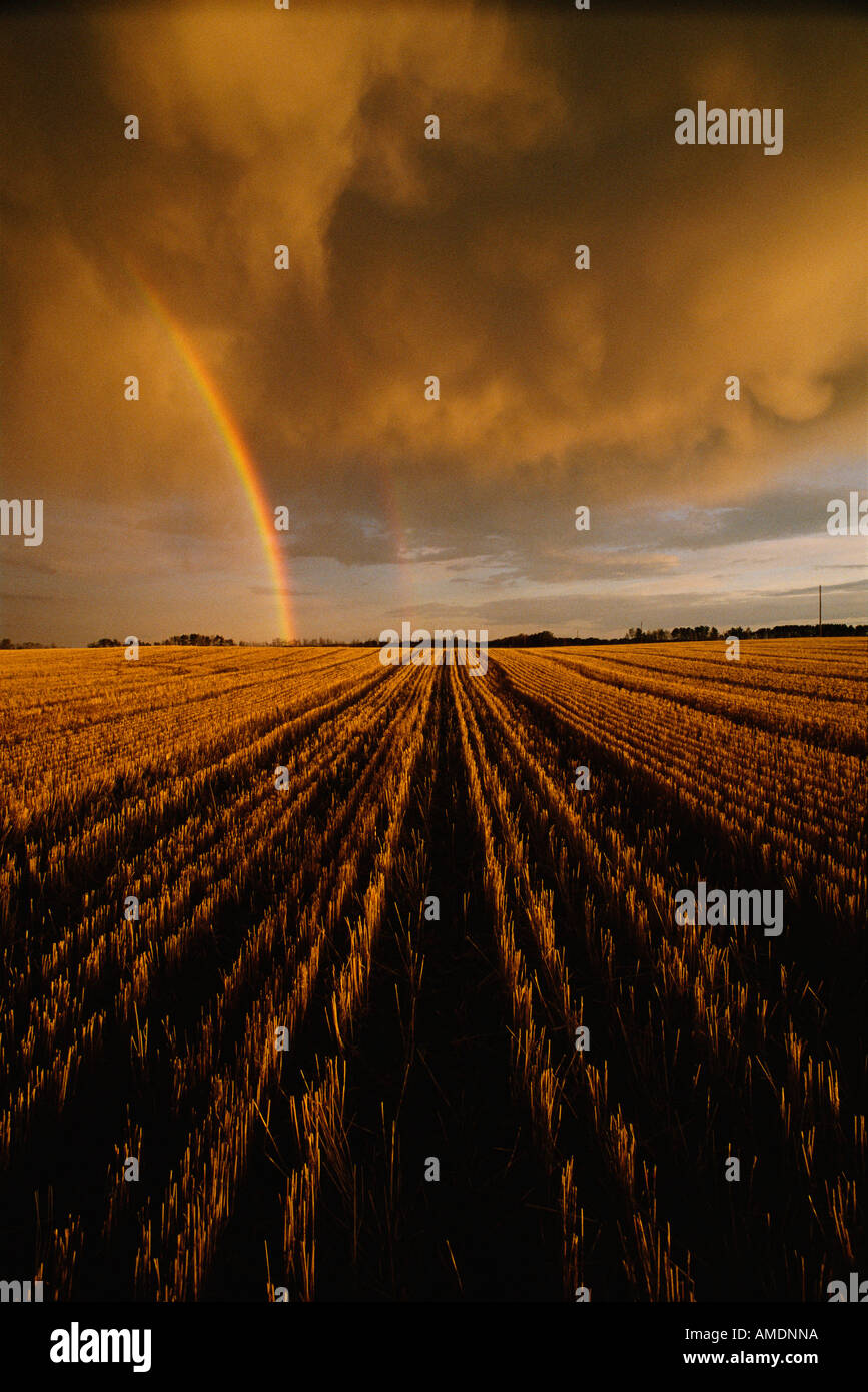 Prairie scene at sunrise in alberta hi-res stock photography and images ...