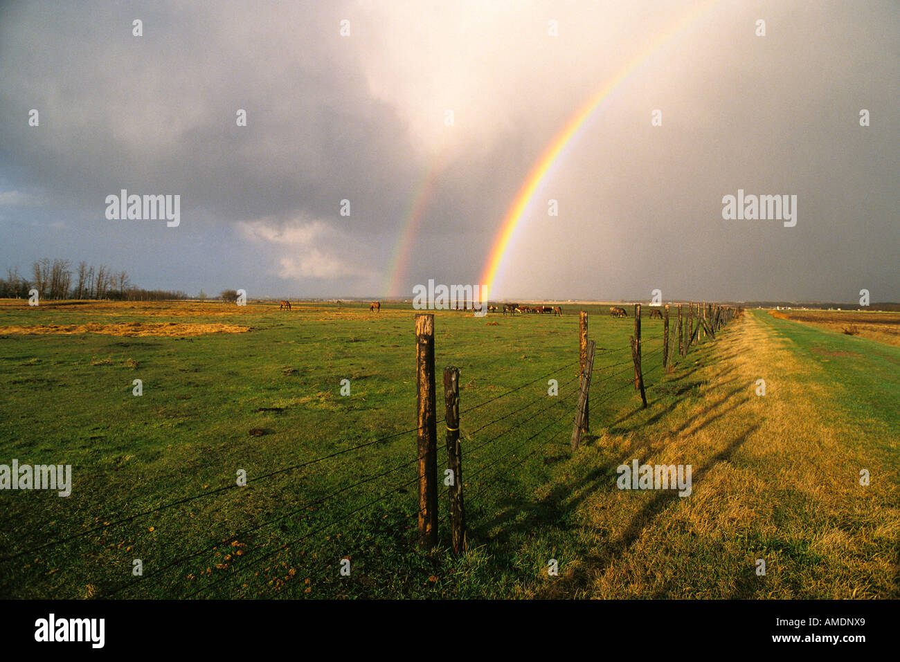 Rural Alberta, Canada Stock Photo - Alamy