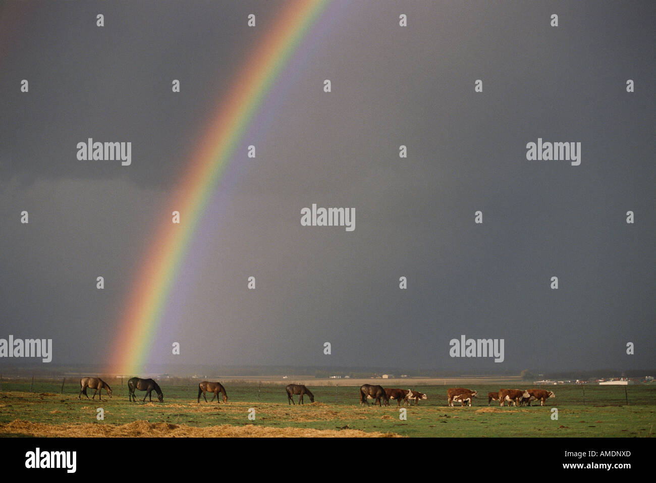 Rural Alberta, Canada Stock Photo - Alamy