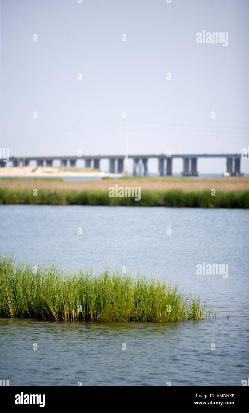 Wetland marsh near Lynnhaven Inlet Virginia Beach VA Virginia Stock ...