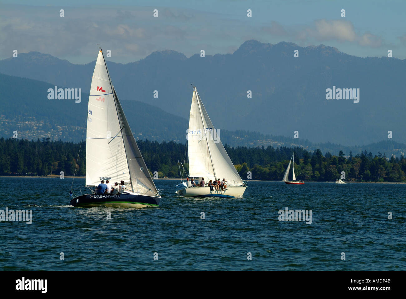 Sailing yacht race Martin 242 Vancouver Stock Photo - Alamy