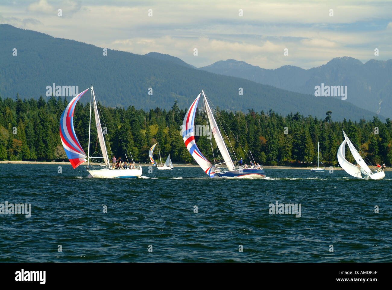 Sailing boats yachts with spinnakers Stock Photo - Alamy