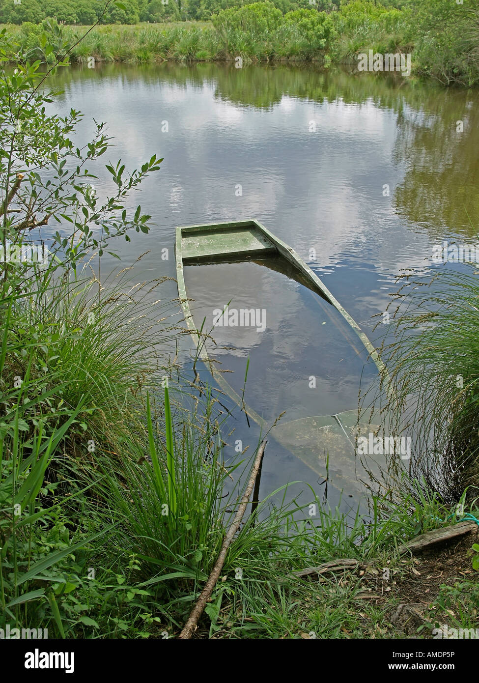 sunken old rowing boat in water at reed bank of a little pond Stock ...