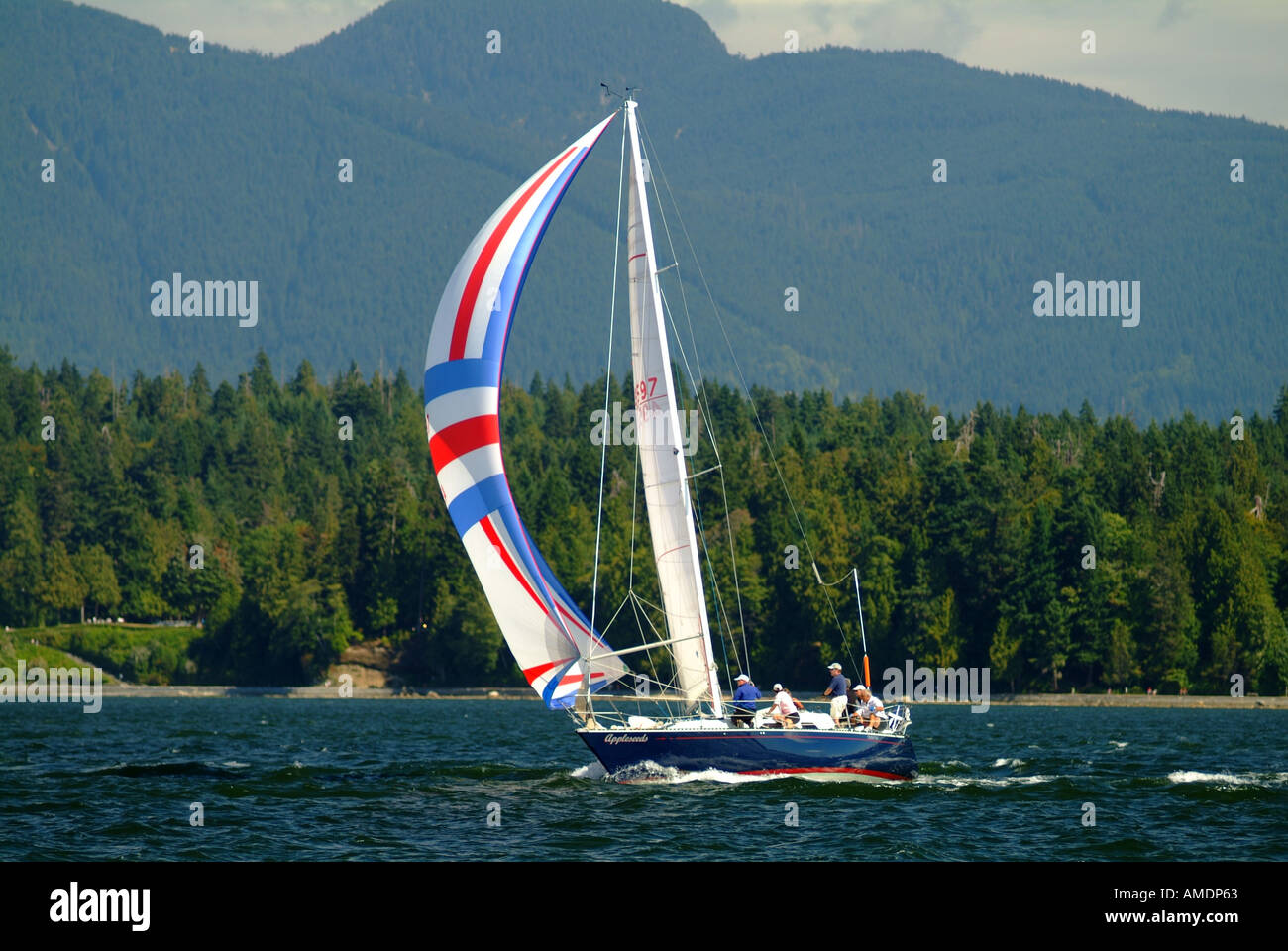 Sailing boat yacht with spinnaker Stock Photo - Alamy
