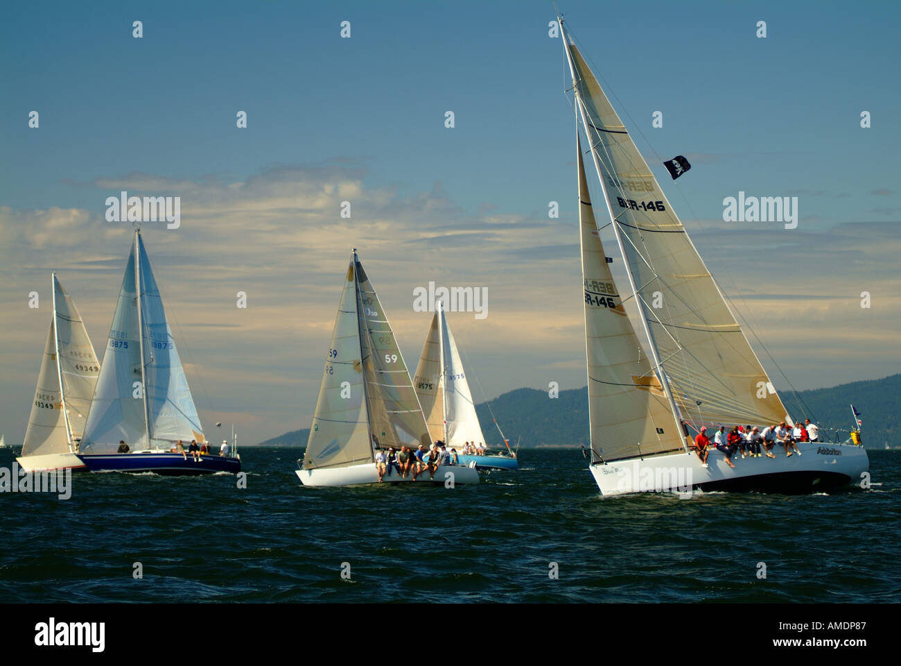 Sailing yachts racing in regatta Vancouver Stock Photo - Alamy
