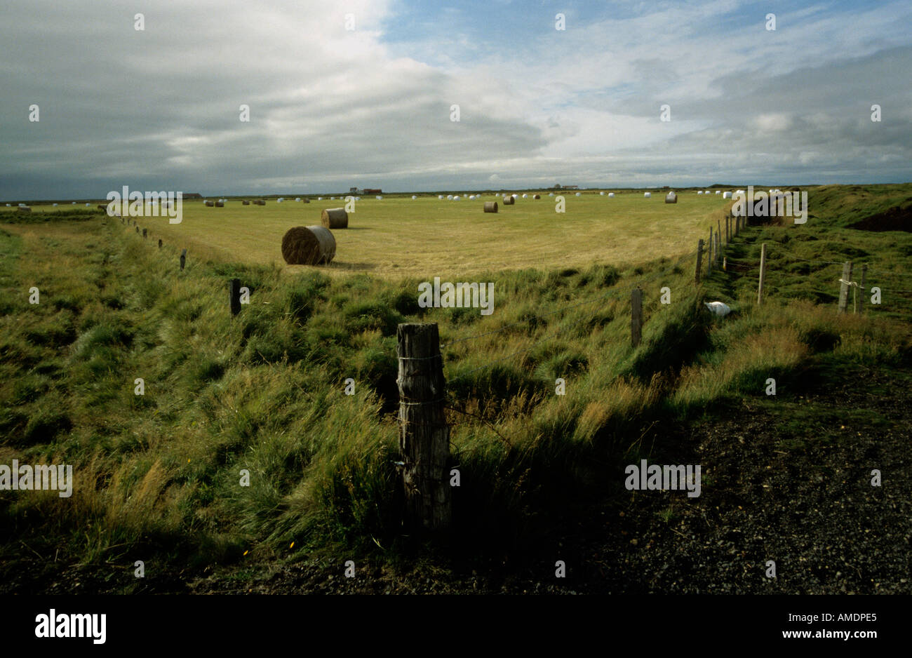 Europe sightseeing farm iceland hi-res stock photography and images - Alamy