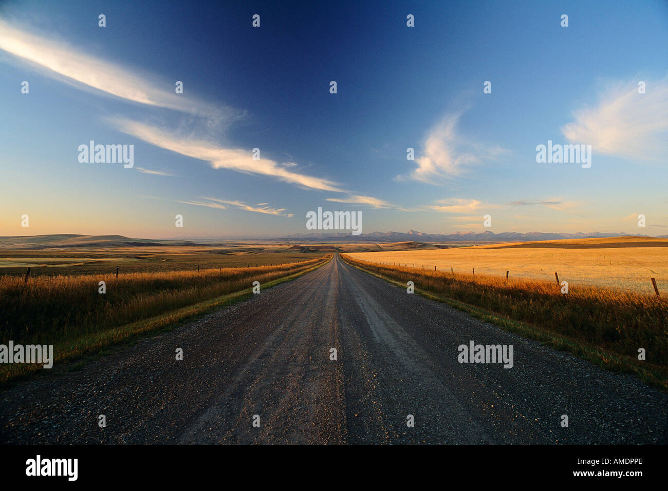 Benson road hi-res stock photography and images - Alamy