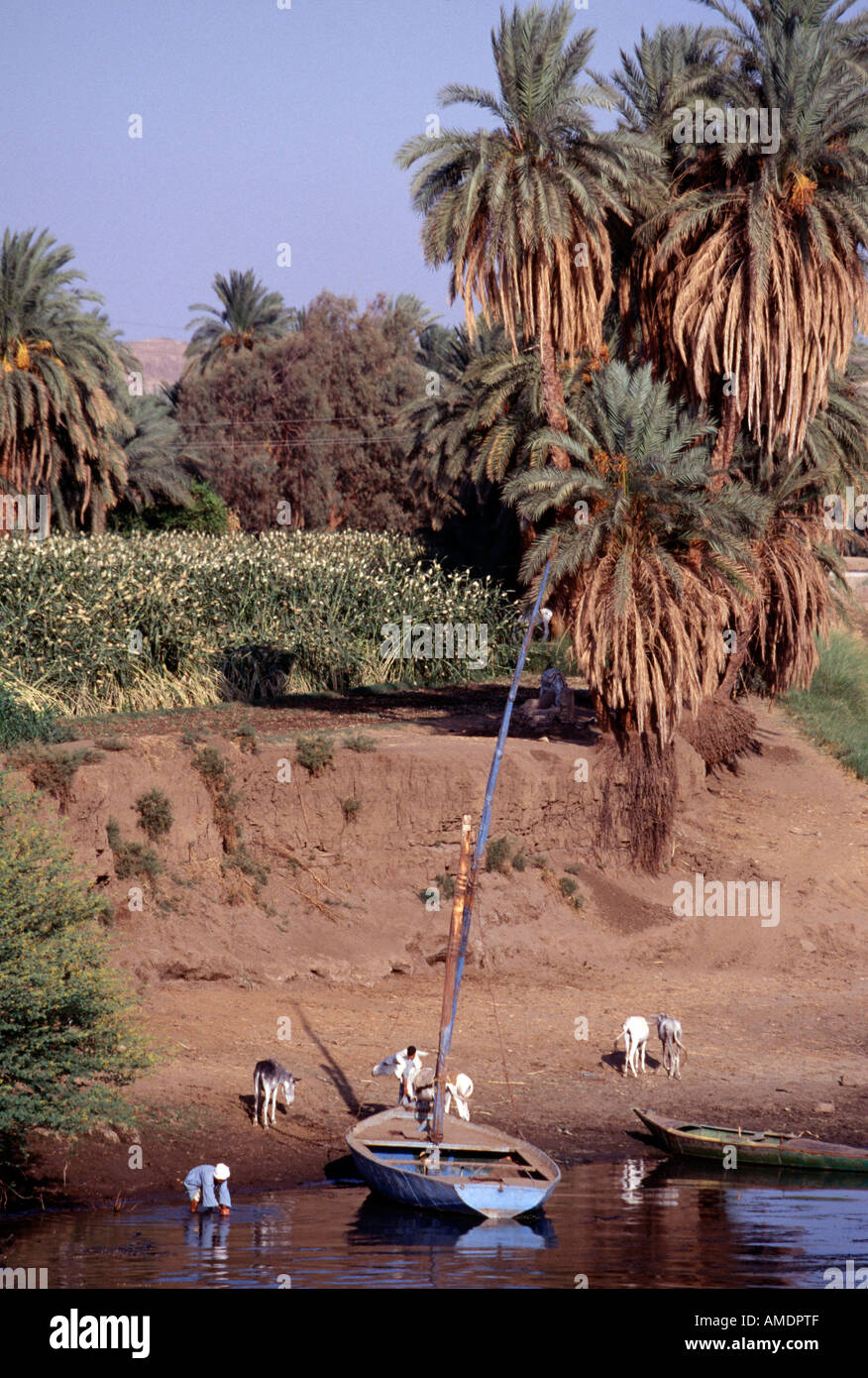 Egypt Nile River Locals with boats along riverbank Stock Photo - Alamy