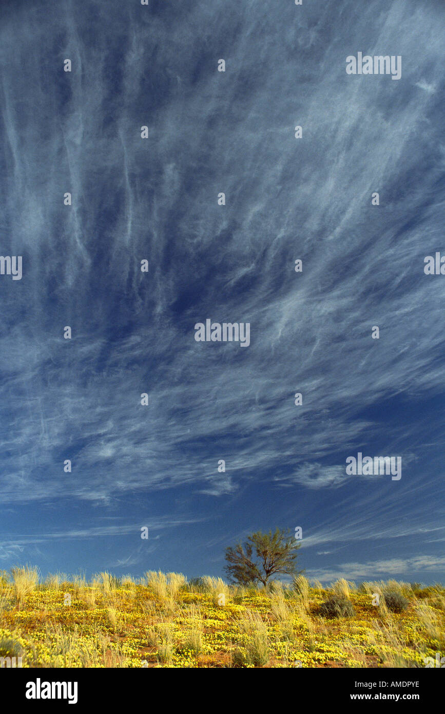 Bushmanland South Africa Stock Photo - Alamy