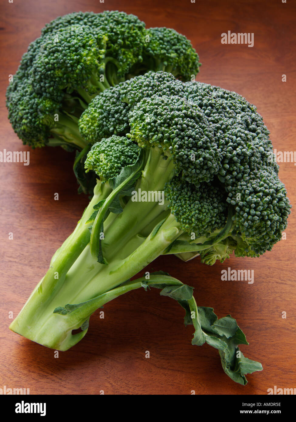Five broccoli florets hi-res stock photography and images - Alamy