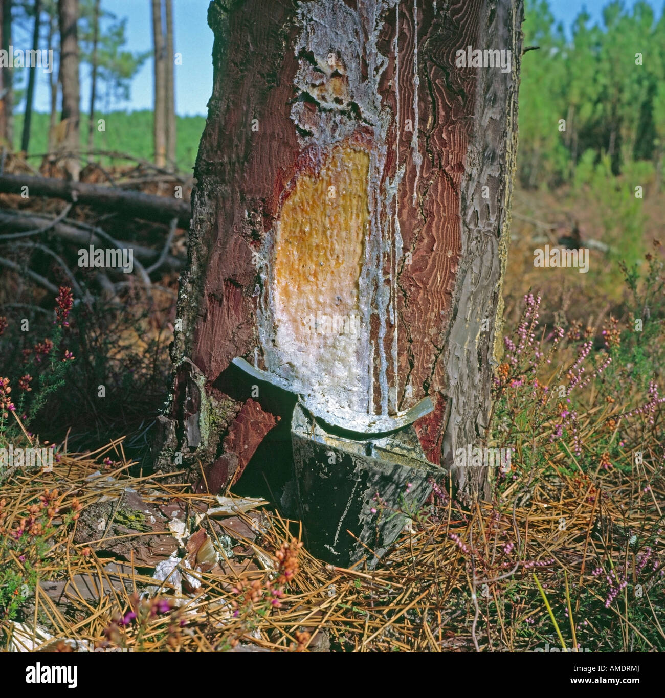 Wound resin hi-res stock photography and images - Alamy
